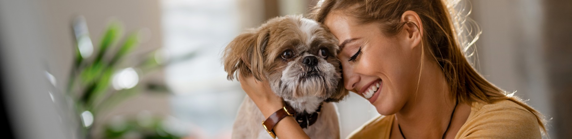 VetConnect Campaigns - Reach Veterinary Decision Makers | VJM